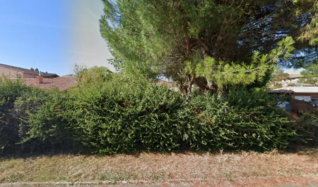 Edenis La Tour Totier - avis maison de retraite à Castelginest, 31780